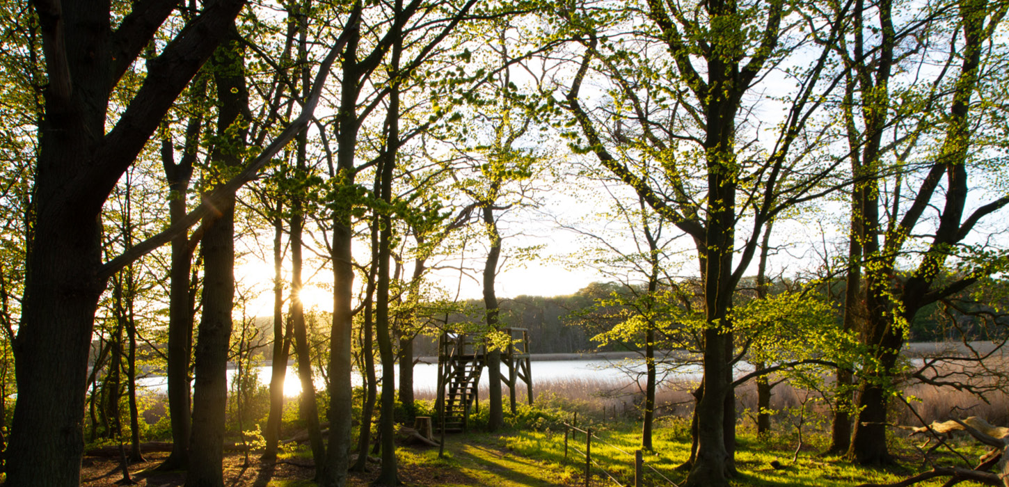 Trillen og Lambjerg Indtægt ved Høruphav | VisitSønderjylland
